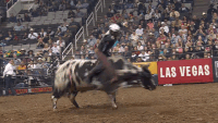 Pbr GIFs - Get the best gif on GIFER