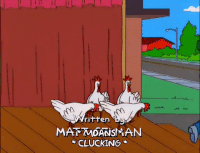 Clucking GIF - Conseguir o melhor gif em GIFER