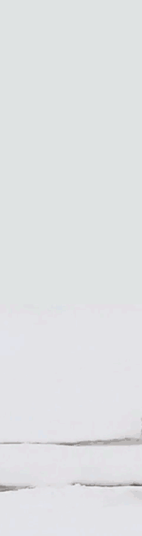 Roam GIFs - Get the best gif on GIFER