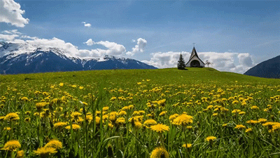 Alpes GIFs - Get the best gif on GIFER