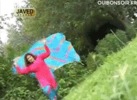 Folle GIFs - Get the best gif on GIFER