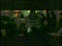 Tang GIFs - Get the best gif on GIFER