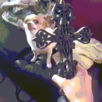 Vampire GIFs - Get the best gif on GIFER