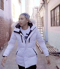 Puma GIF - Conseguir el mejor gif en GIFER