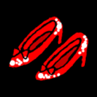 Slippers GIFs - Get the best gif on GIFER