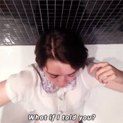 Merino GIFs - Get the best gif on GIFER