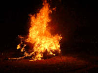 Samhain GIFs - Get the best gif on GIFER