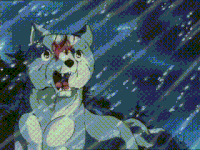 Gin GIFs - Get the best gif on GIFER