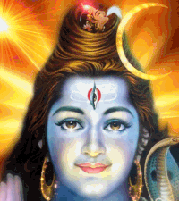 India GIFs - Get the best gif on GIFER