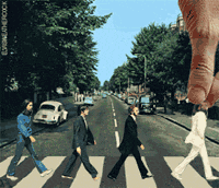 Beatle GIFs - Get the best gif on GIFER