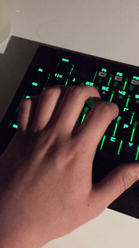 Palmiers GIFs - Get the best gif on GIFER