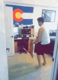 Happydance GIFs - Get the best gif on GIFER