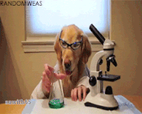 Microscope GIFs - Get the best gif on GIFER