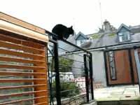 Passt GIFs - Get the best gif on GIFER