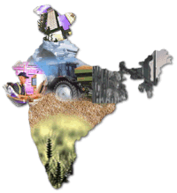 India GIFs - Get the best gif on GIFER