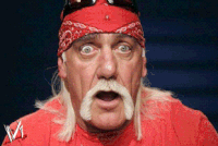 Hulk hogan GIFs - Get the best gif on GIFER