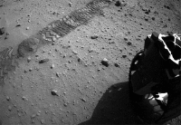 Curiosity GIFs - Get the best gif on GIFER