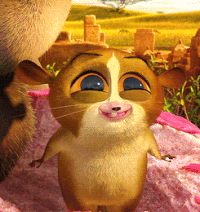 Madagascar GIFs - Get the best gif on GIFER