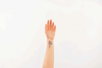 Frieren GIFs - Get the best gif on GIFER