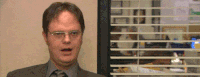Dwight GIFs - Get the best gif on GIFER