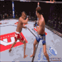 Kickboxing GIFs - Get the best gif on GIFER