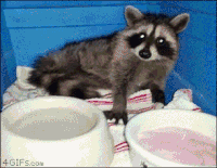 Gentle GIFs - Get the best gif on GIFER