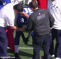 Hog GIFs - Get the best gif on GIFER