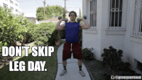 Dont skip leg day GIF - Conseguir el mejor gif en GIFER