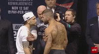 Staredown GIFs - Get the best gif on GIFER