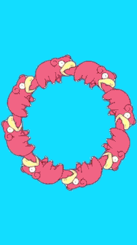 Slowpoke GIFs - Get the best gif on GIFER