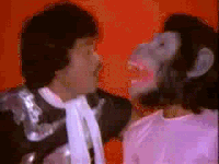 Bobo GIFs - Get the best gif on GIFER