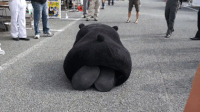 Kumamon GIFs - Get the best gif on GIFER