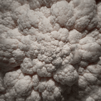 Fuming GIFs - Get the best gif on GIFER