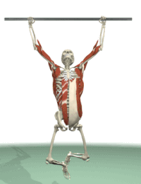 Ups GIFs - Get the best gif on GIFER