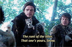 Cub fan GIF - Conseguir o melhor gif em GIFER