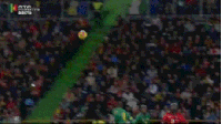 Portugues GIFs - Get the best gif on GIFER