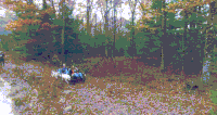 Rural GIFs - Get the best gif on GIFER