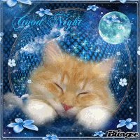 Blingee GIFs - Get the best gif on GIFER