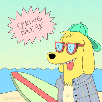 Rad dog GIFs - Get the best gif on GIFER