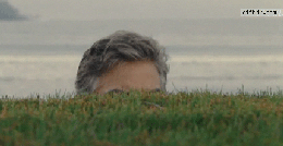 Surreptitious GIFs - Get the best gif on GIFER