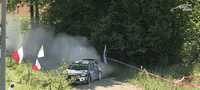 Rally GIFs - Get the best gif on GIFER