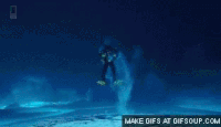 Scuba diving GIFs - Get the best gif on GIFER