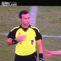 Referee GIFs - Get the best gif on GIFER
