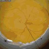 Veined GIFs - Get the best gif on GIFER