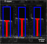 Chips GIF - Conseguir o melhor gif em GIFER