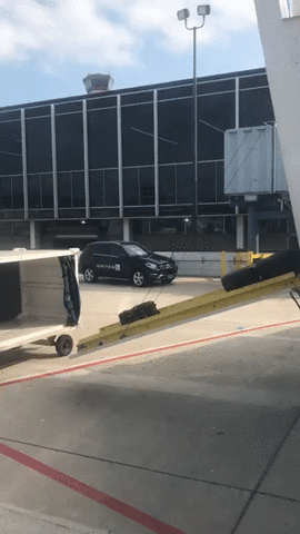 Baggage GIFs - Get the best gif on GIFER