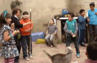 Pinata GIFs - Get the best gif on GIFER