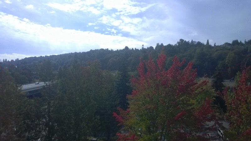 Octoberseattle GIFs - Get the best gif on GIFER