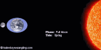 Tidal GIFs - Get the best gif on GIFER