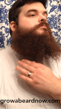 Bearding GIFs - Get the best gif on GIFER